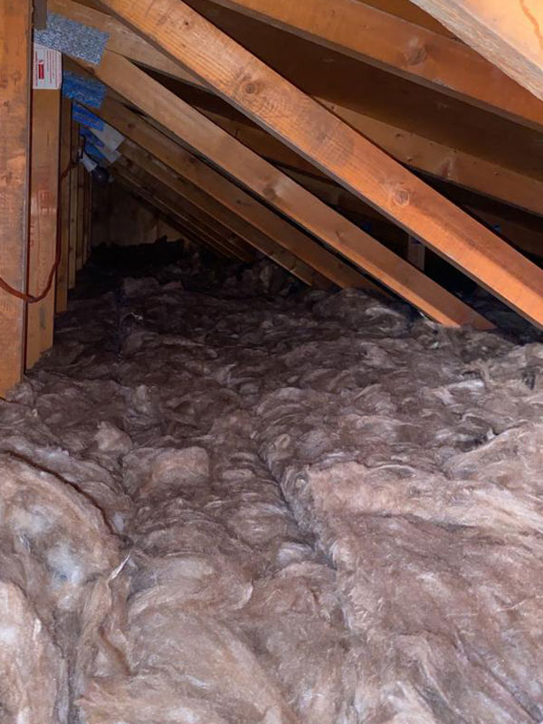 Loft Insulation - Platinum Park Home Services Ltd